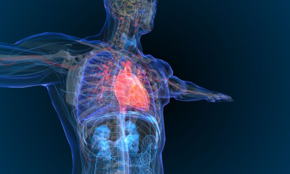 AI used to predict five types of heart failure - Agetech World